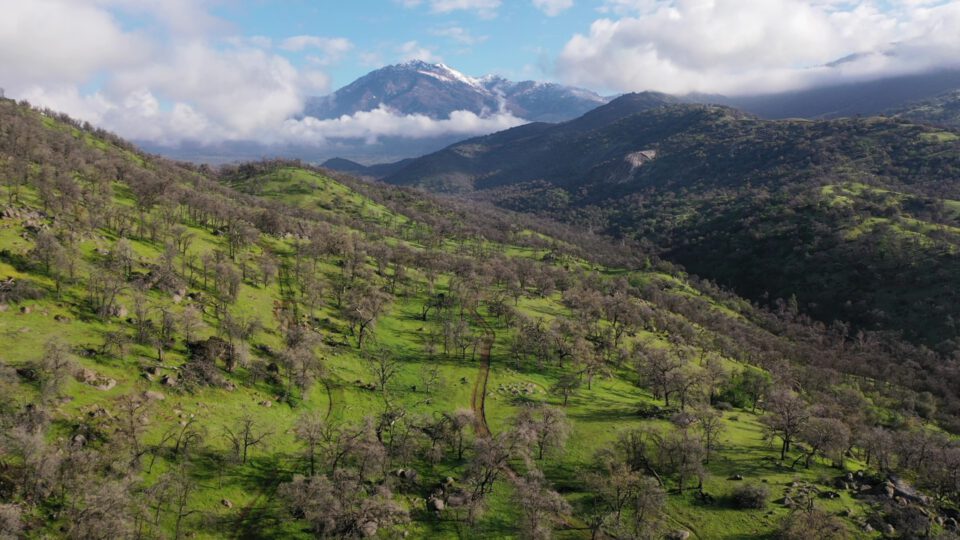 Kaweah Oaks Preserve – Sequoia Riverlands Trust