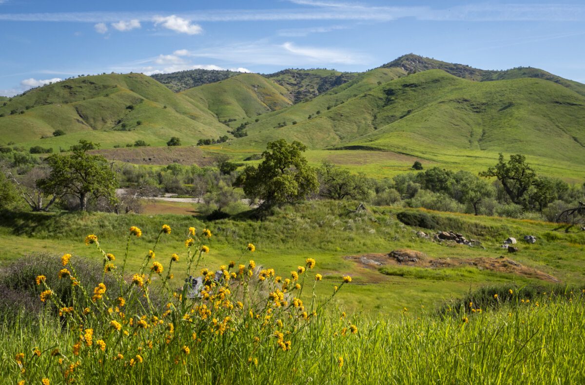 Kaweah Oaks Preserve – Sequoia Riverlands Trust