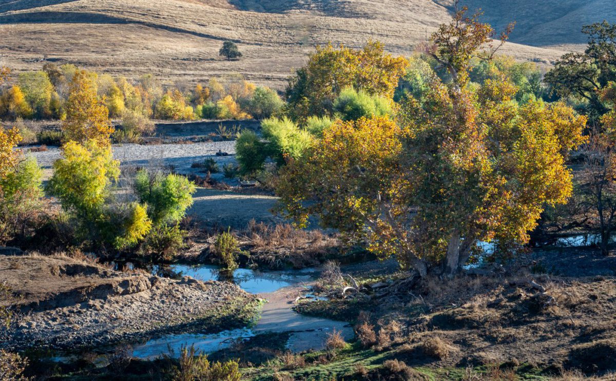 How the Kaweah MLRP is Transforming Farmland and Water Use in the ...
