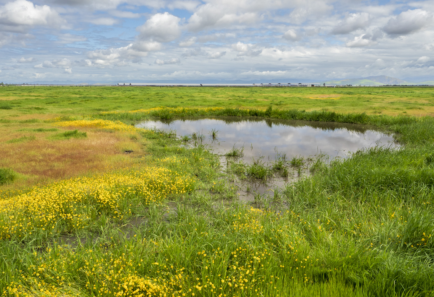 Kaweah Oaks Preserve – Sequoia Riverlands Trust