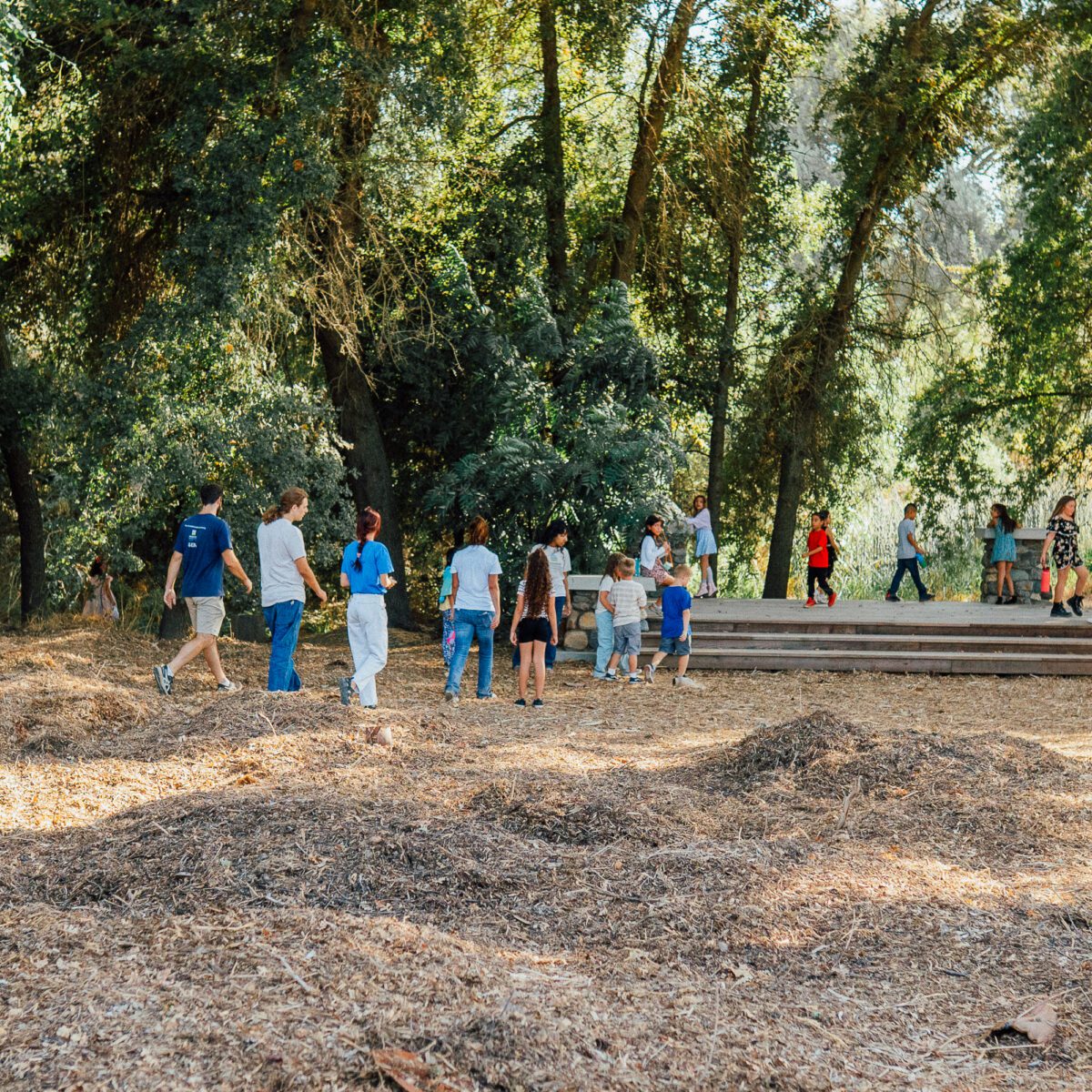 Kaweah Oaks Preserve – Sequoia Riverlands Trust