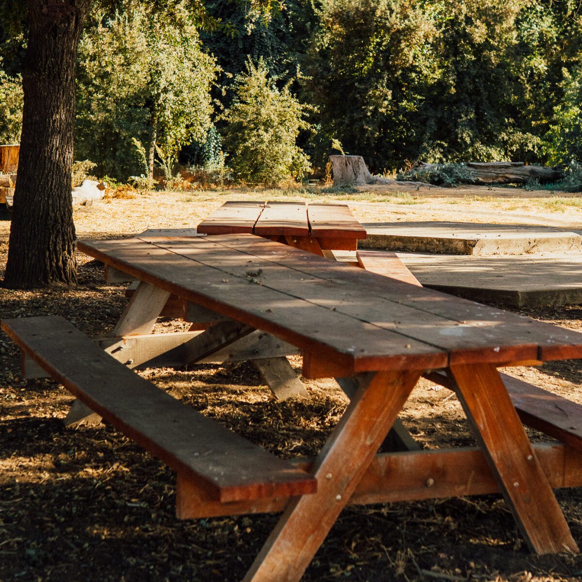 Kaweah Oaks Preserve – Sequoia Riverlands Trust