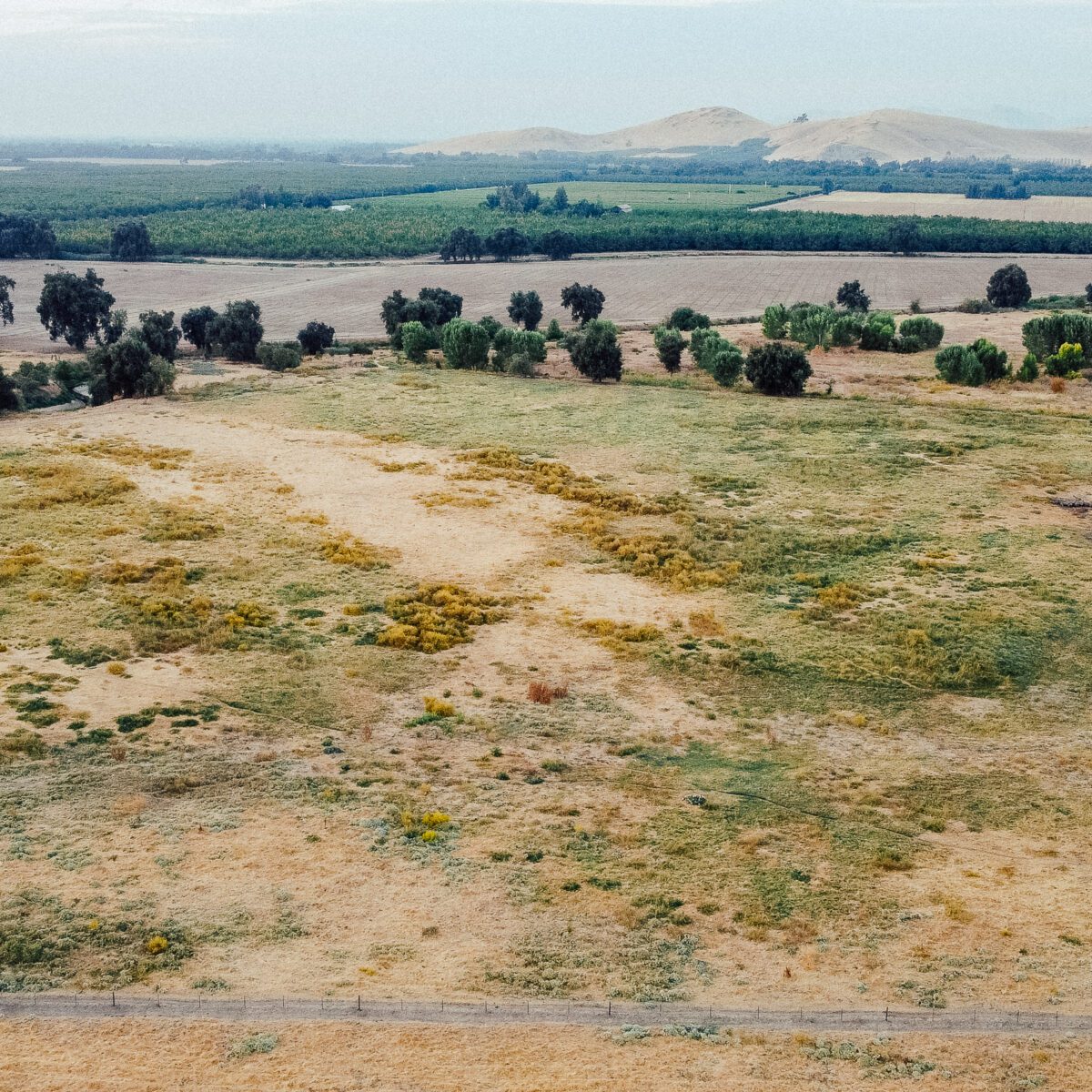 Kaweah Oaks Preserve – Sequoia Riverlands Trust