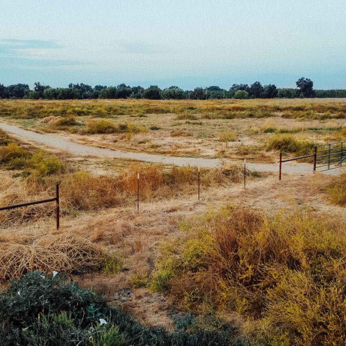 Kaweah Oaks Preserve – Sequoia Riverlands Trust